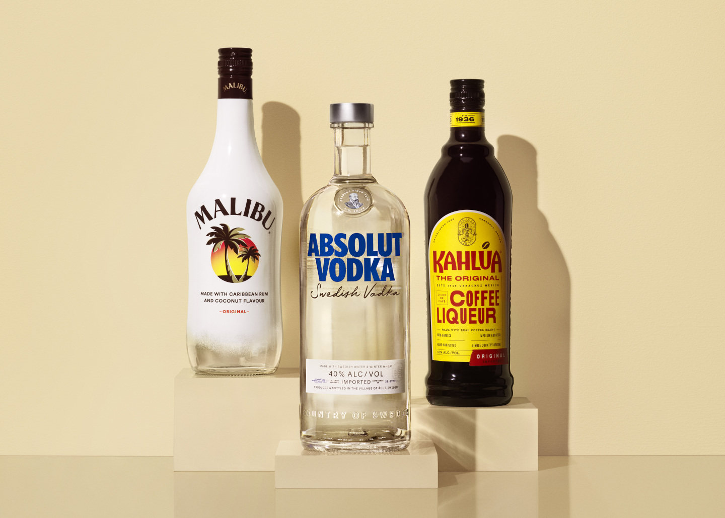 TAC portfolio setting – The Absolut Company