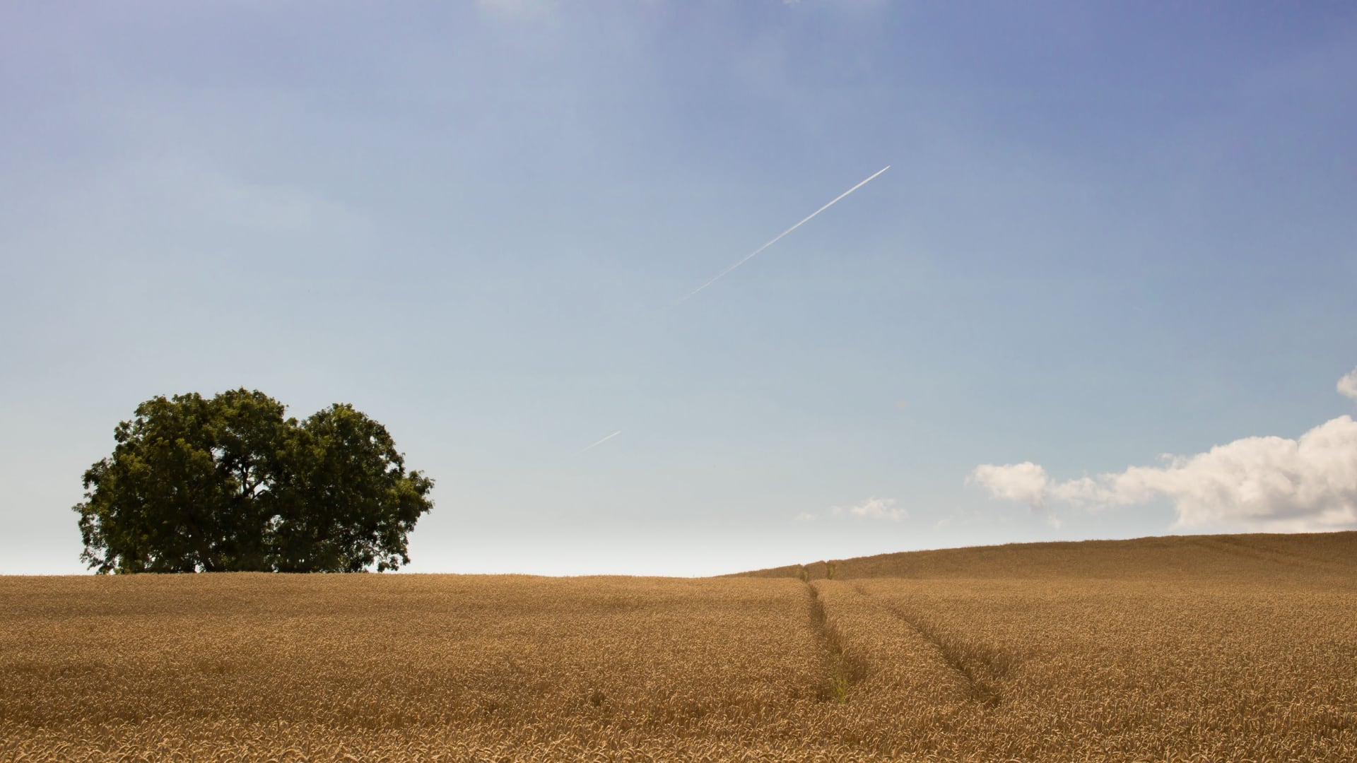 Sowing seeds for sustainable farming – The Absolut Company
